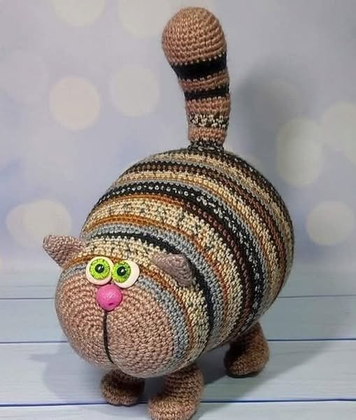 Chubby Striped Cat